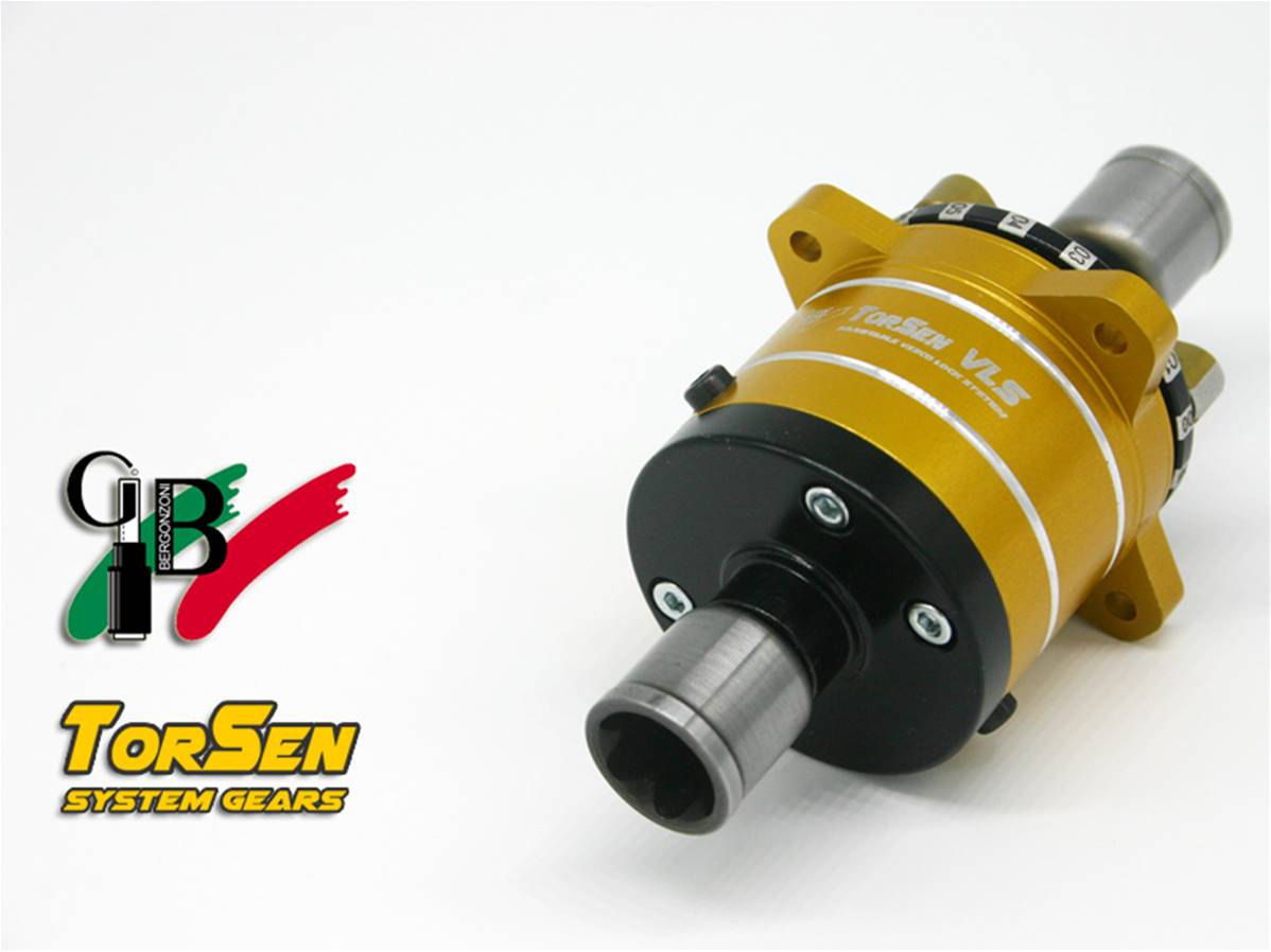 DIFFERENTIEL TORSEN BERGONZONI (System Gears) 18 positions
